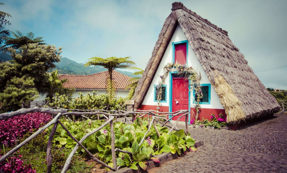 Madeira (guia) - tudo o que precisa de saber