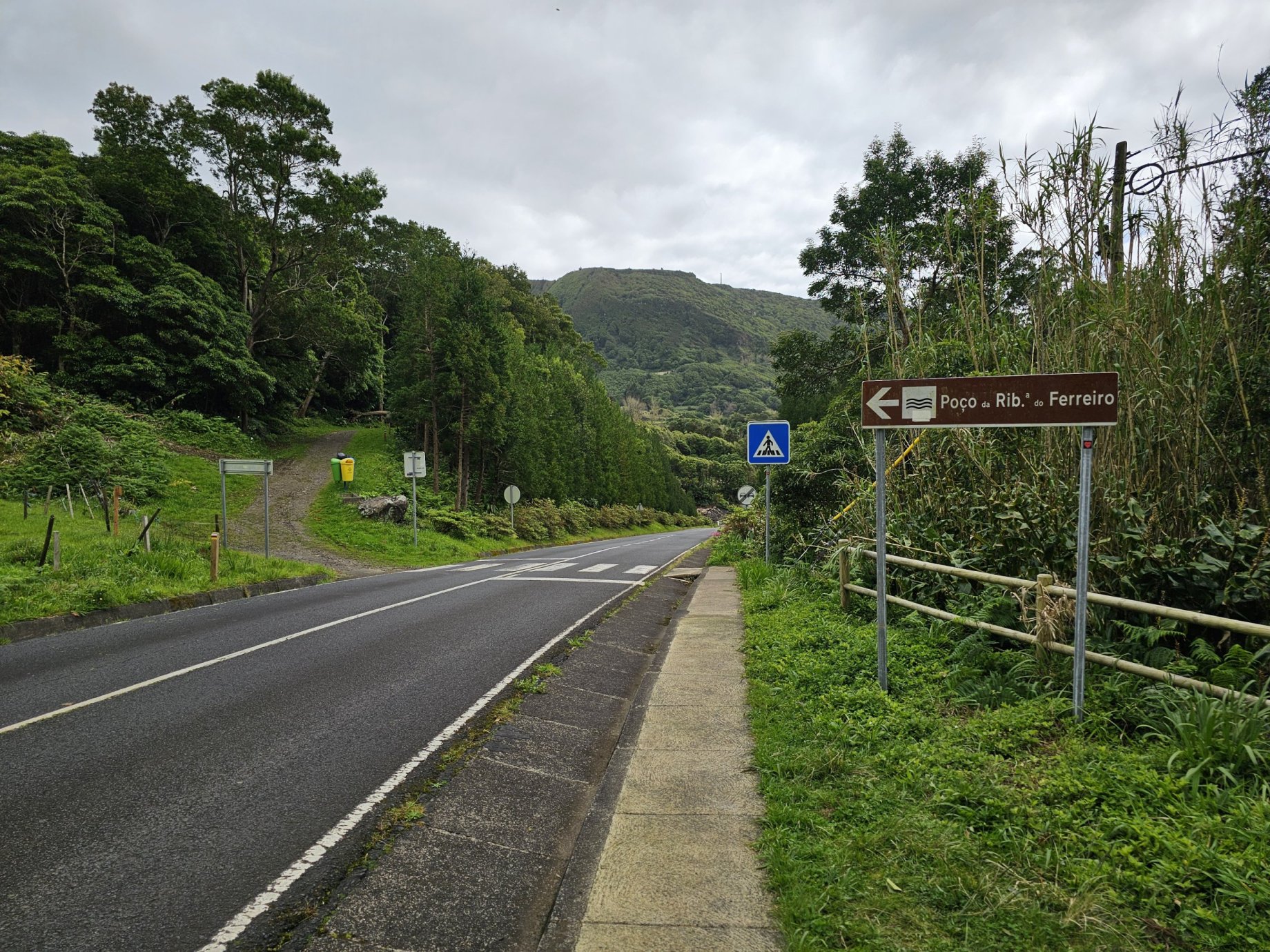 Poço da Ribeira do Ferreiro, Flores - Tudo o que precisa de saber