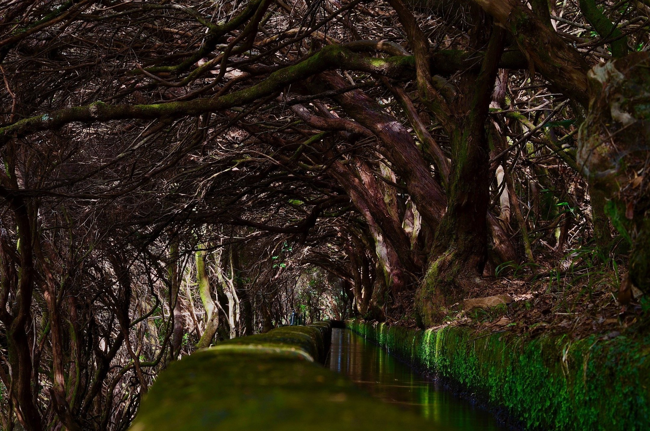 Melhor caminhada nas levadas da Madeira - percursos e mapas