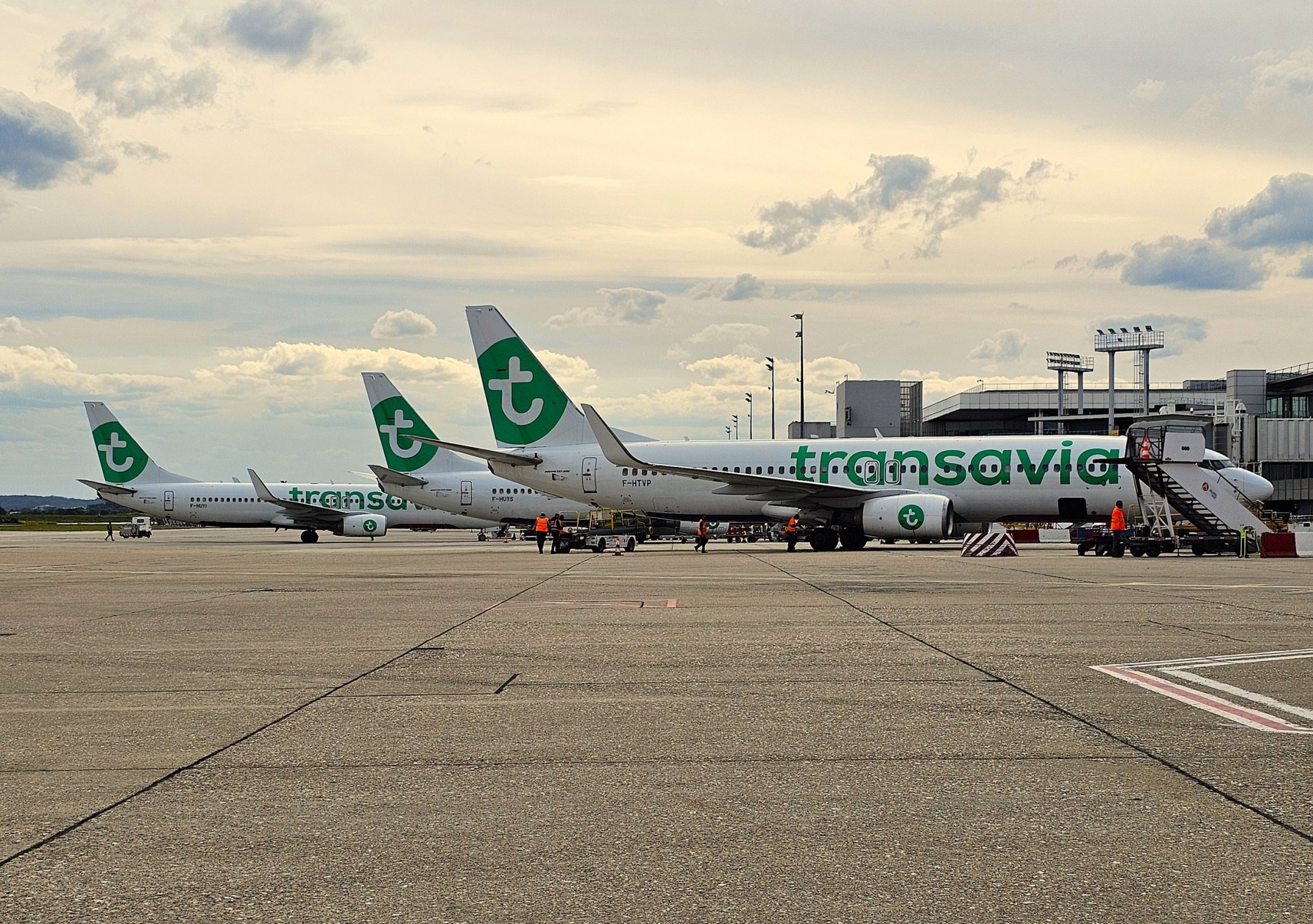 Transavia - tudo o que precisa de saber