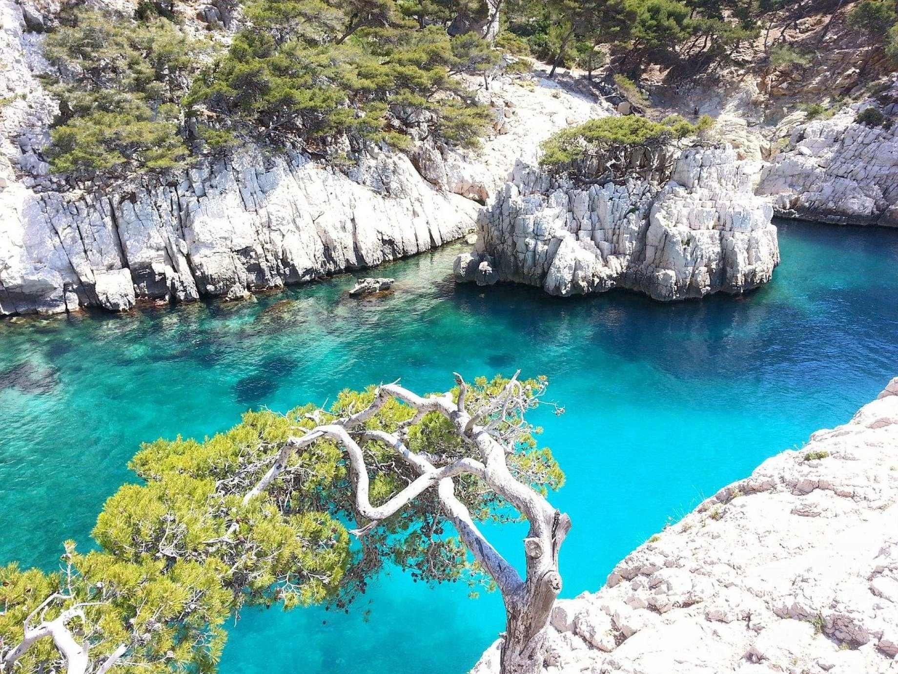 Parque nacional das Calanques, Marselha - Tudo o que precisa de saber